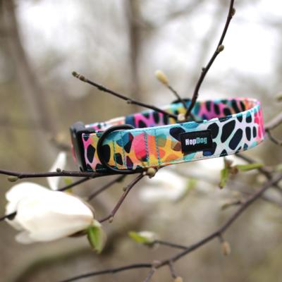 Collier artisanal pour chien Safari Sun